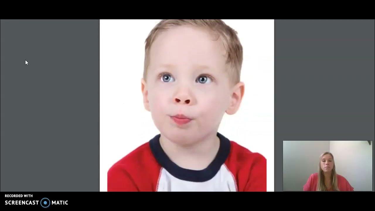 3rd Grade CKLA ELA - Unit 5 Lesson 9 Light and Sound: What is Sound ...