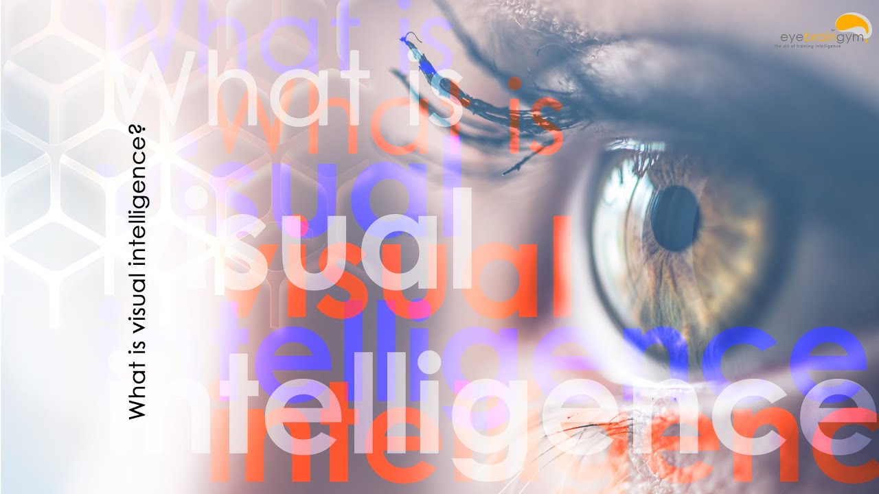 What is visual intelligence - YouTube