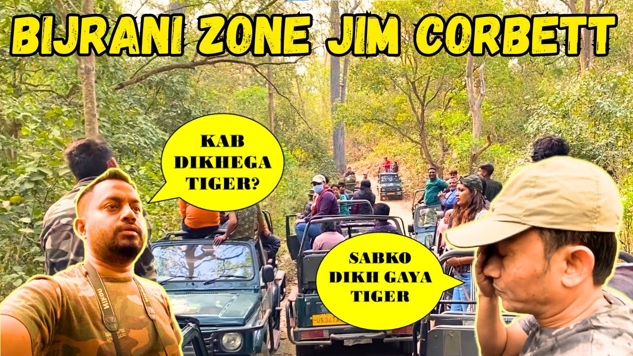 Too Close To A Tiger Sighting | Bijrani Zone Safari | Jim Corbett ...