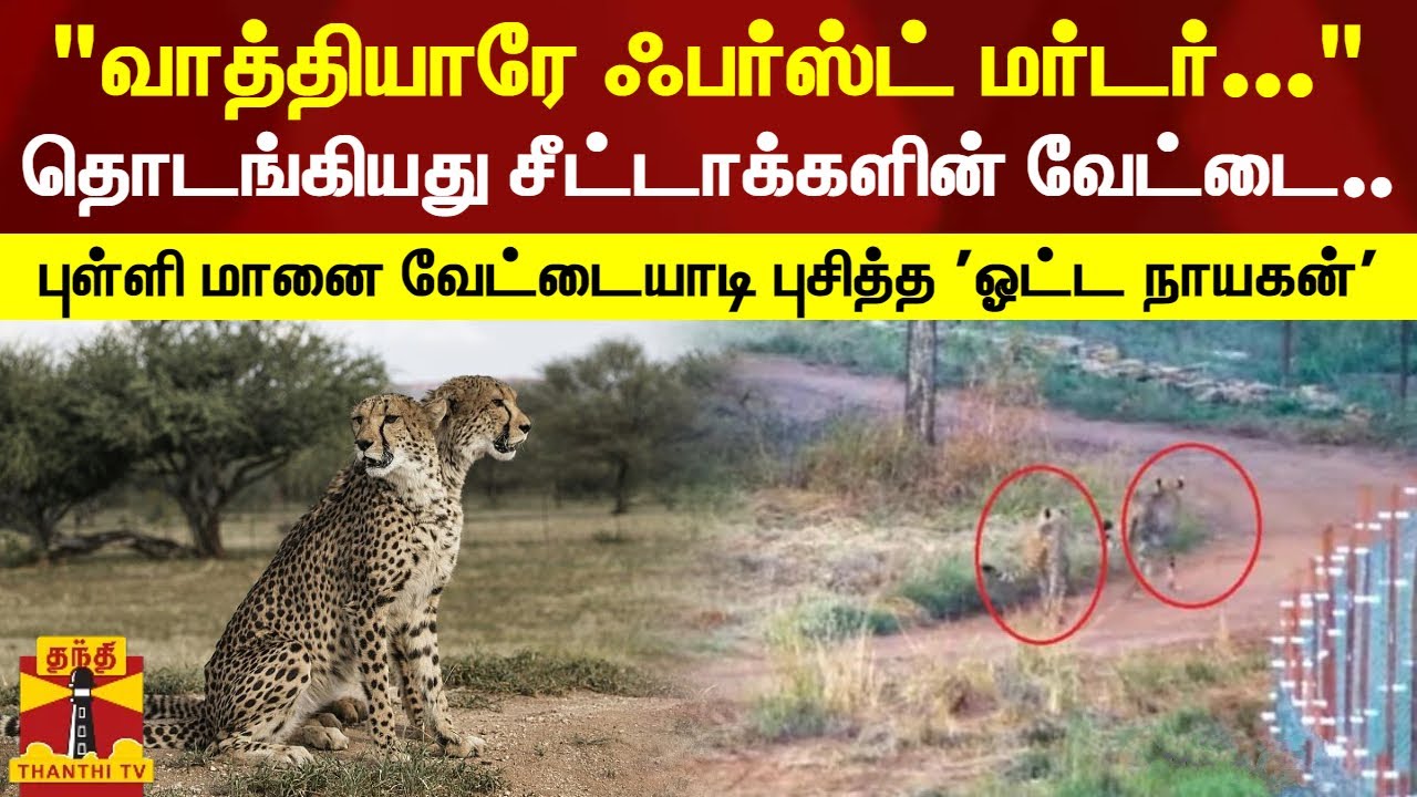 இந்தியாவில் முதல் வேட்டை 24 மணி நேரத்திற்குள் புள்ளிமானை புசித்த 5096