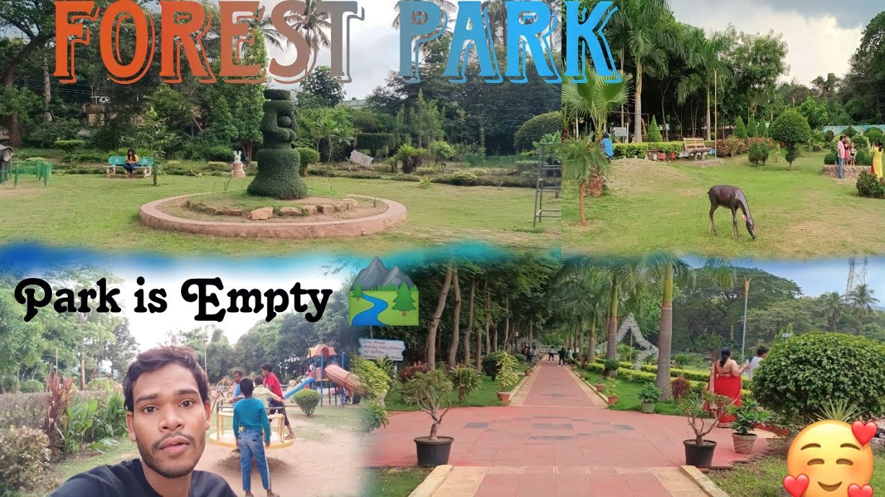 Forest Park 🏞️ ka Beauty 😍//Beauty 😍 Of Forest Park//Rayagada Forest ...