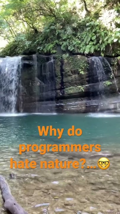 Joke Of The Day Why Do Programmers Hate Nature Youtube