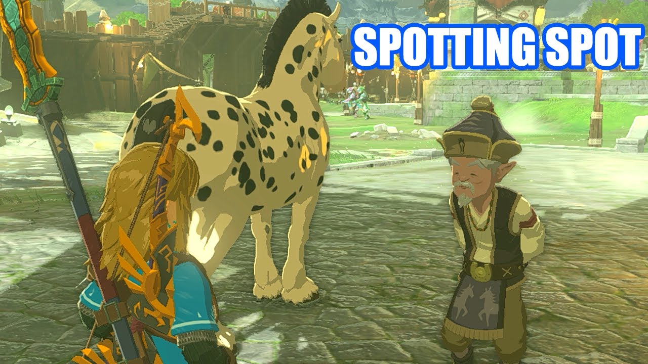 Zelda Tears of The Kingdom - Spotting Spot Quest Walkthrough - YouTube