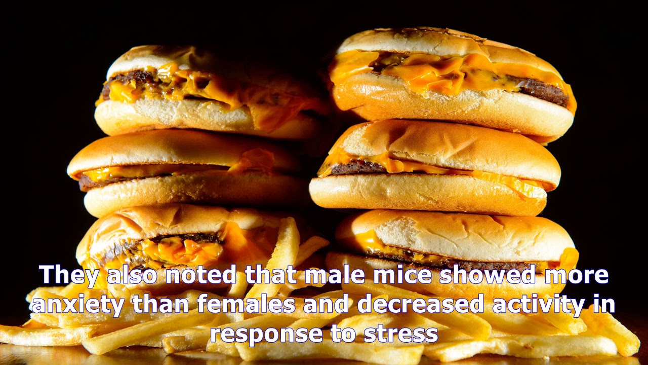 Stress is as unhealthy as eating junk food, scientists say - YouTube