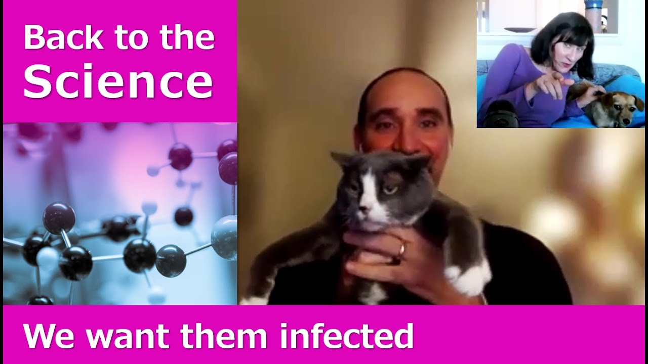Contrarian doctors putting fame above lives (with Dr Jonathan Howard MD ...