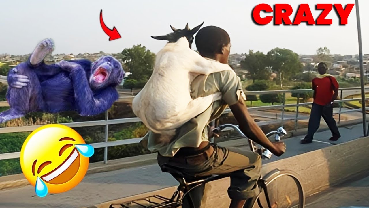 Crazy Funniest video ever recorded on camera ( Part 1) - YouTube