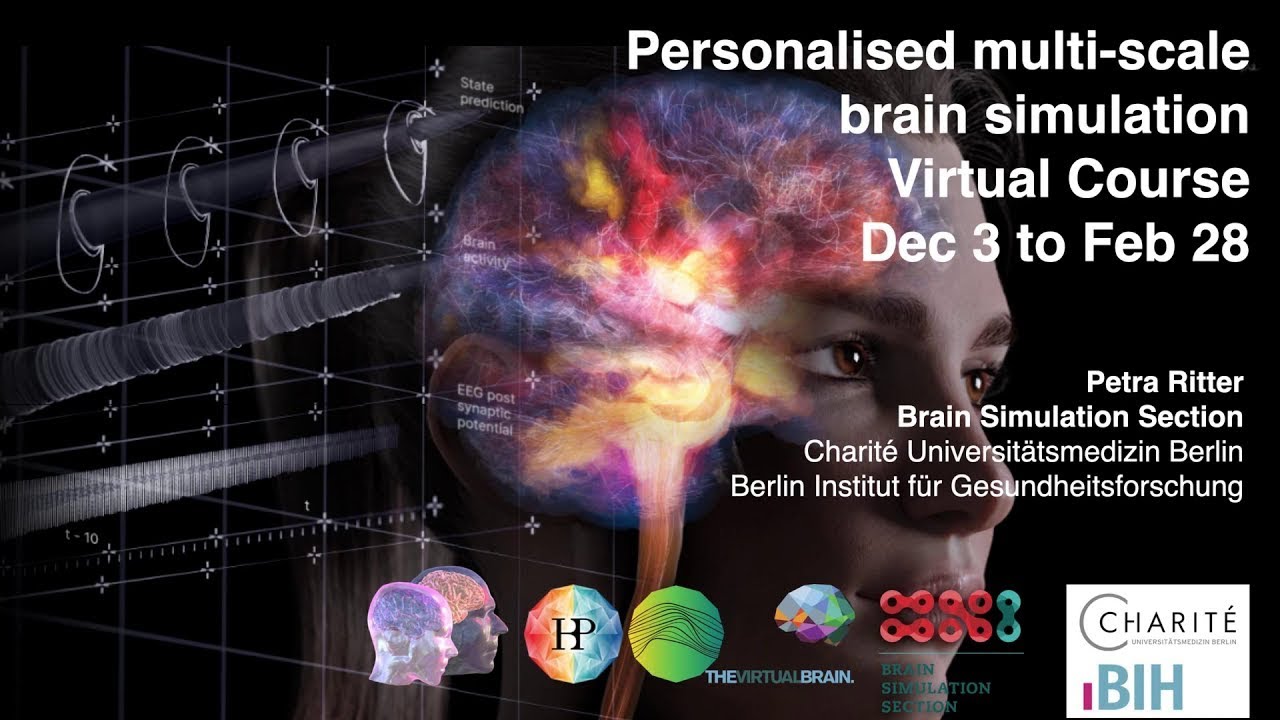 Personalized multi-scale brain simulation Day 1 - Petra Ritter - YouTube