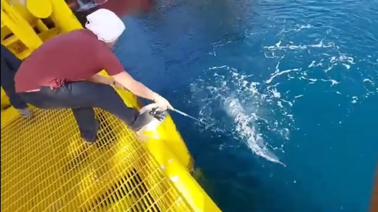 kakapagod sa kaikot ikot pero sobrang nag enjoy pag nakaangat na - YouTube