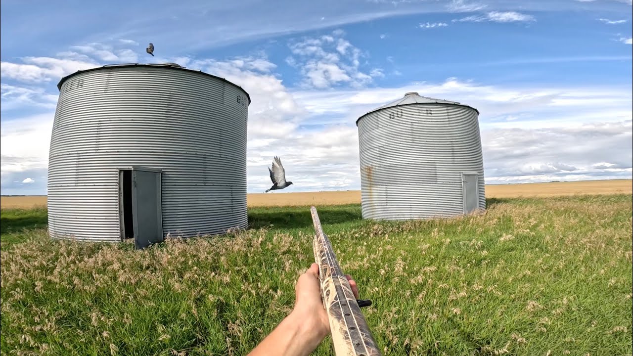 Pigeon Hunting Old Grain Bins at Close Range! (Hundreds of Pigeons ...