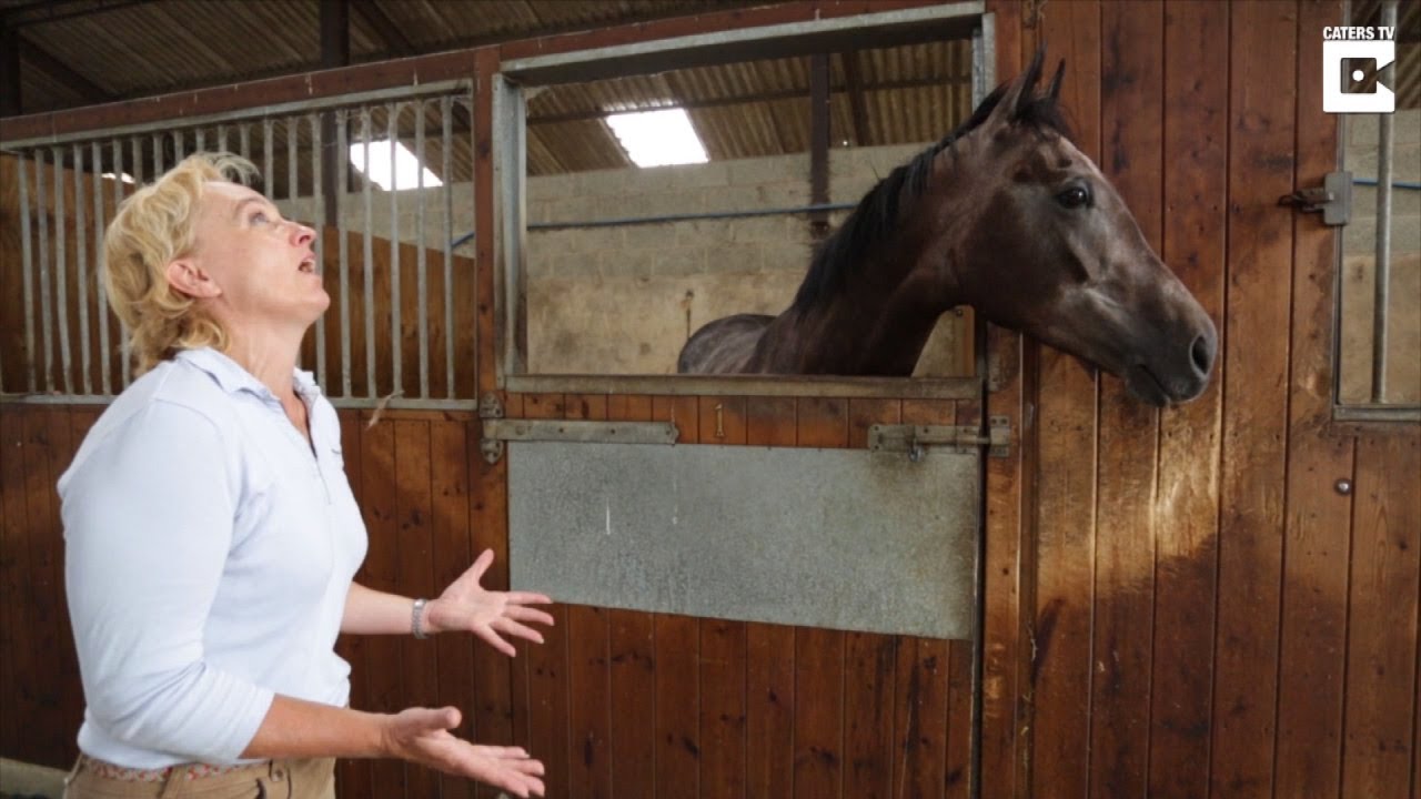 Opera Singer Serenades Horses To Make Them Run Faster - YouTube