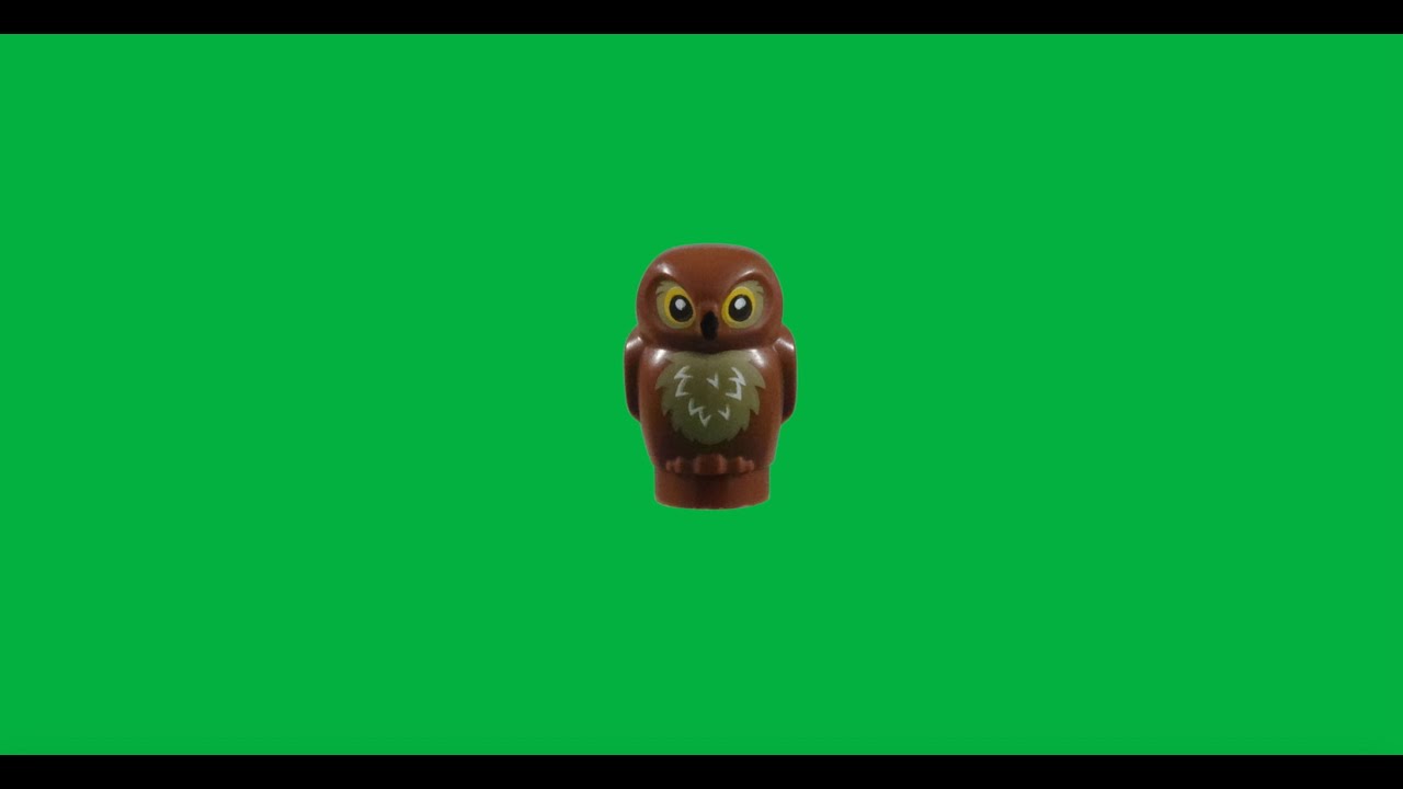 LEGO Rocky Owl (Hawkeye CMF) Green Screen Rotation - YouTube