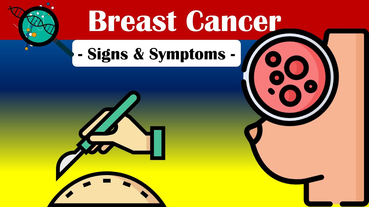 Warning Signs Of A Breast Cancer |What Are The Early Signs Of Breast ...