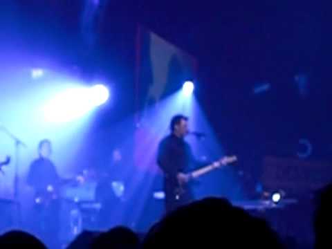 Daan - Icons @ Humo's Pop Poll Deluxe 2010 - YouTube