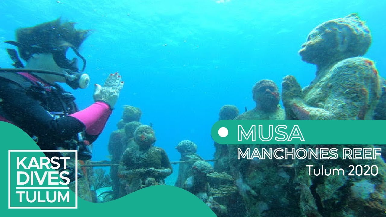 MUSA DIVING - YouTube