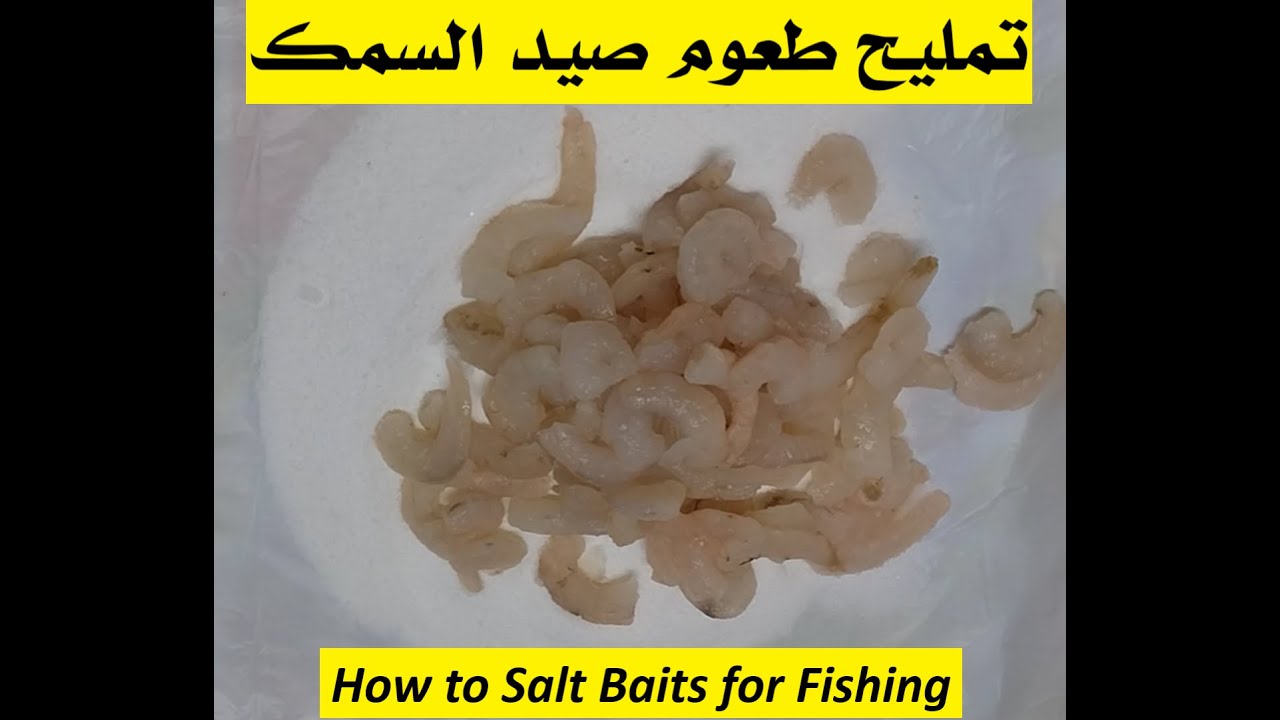 240502 How to Salt Baits for fishing طريقة تمليح طعوم صيد الأسماك - YouTube