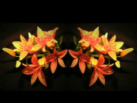 a growing sound - YouTube