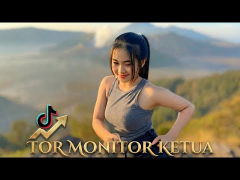 TOR MONITOR KETUA DJ REMIX 2025 🔥 | DJ TikTok Viral Terbaru • Cewek Cantik Geal Geol Dance Trending