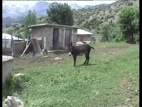 Dersim Pülümür Beğendik Köyü