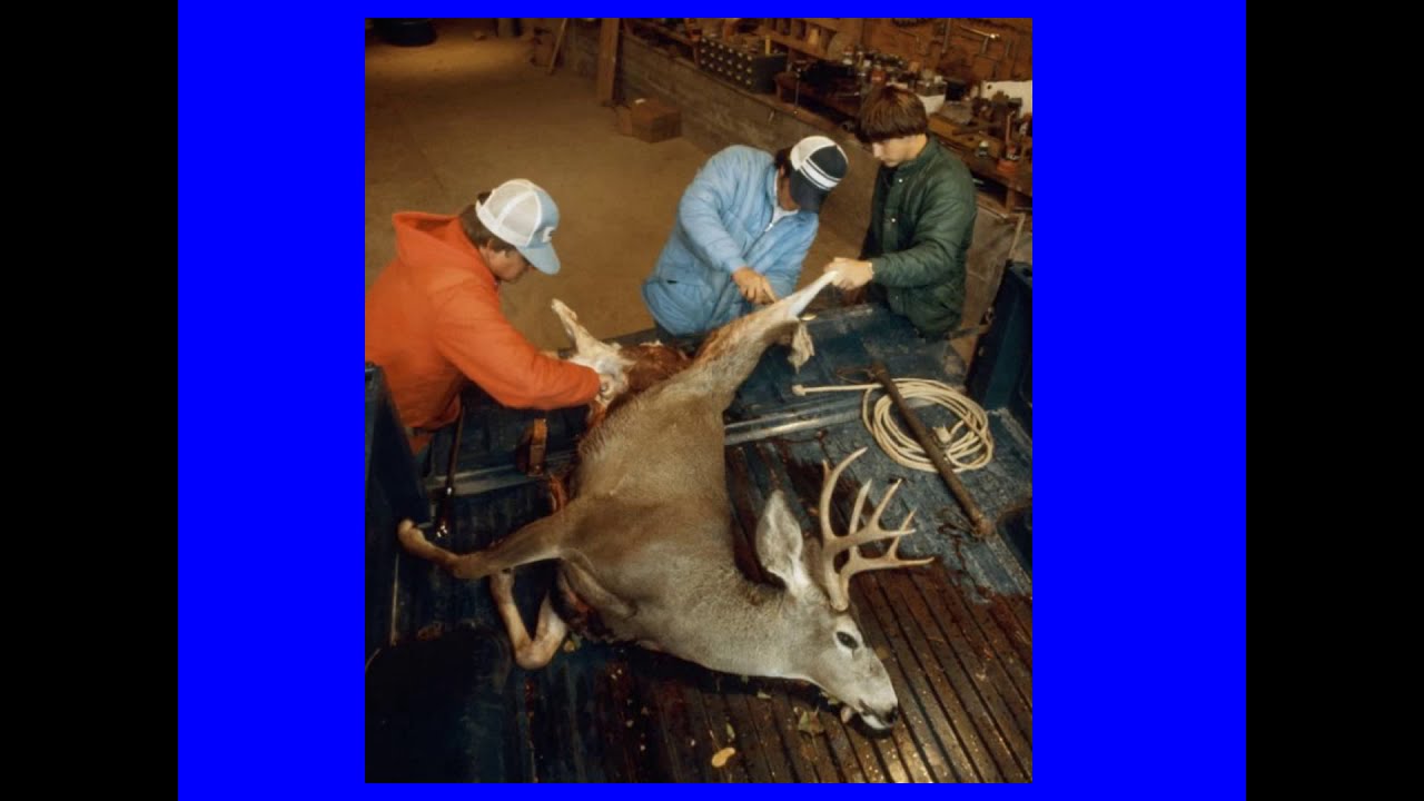 How to: Skin a Deer - Six Easy Steps - YouTube