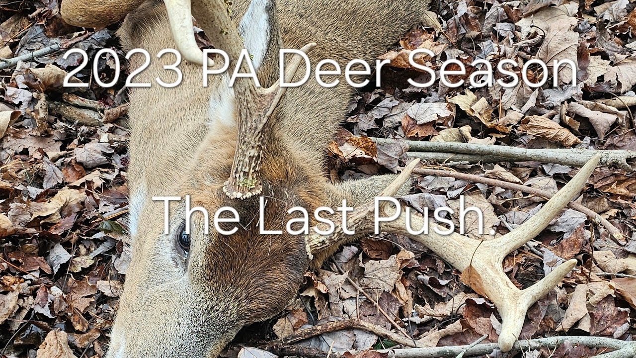 2023 PA DEER SEASON!!! THE LAST PUSH!! BIG BUCK DOWN!!!!! - YouTube