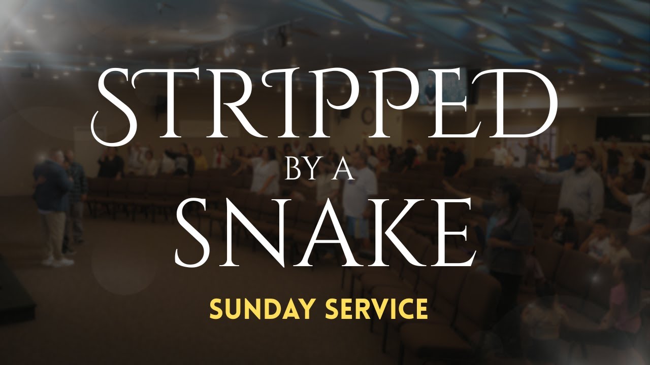 Stripped By A snake - YouTube