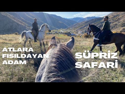 ATLARA FISILDAYAN ADAM İLE SAFARİ, BOL AKSİYON BOL SOHBET