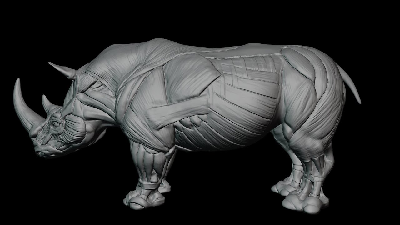 Rhino Anatomy In Blender #5 - YouTube