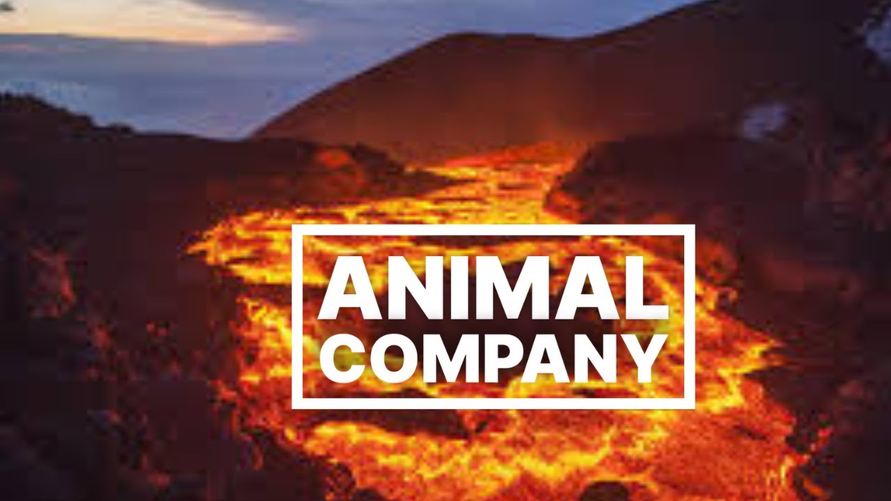 LAVA update in animal company?! - YouTube