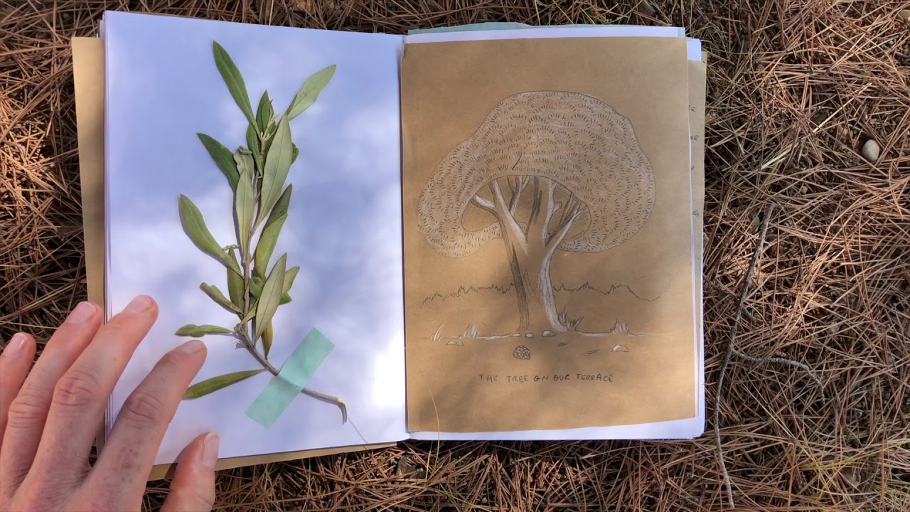 My Nature Journal July 2019 - YouTube