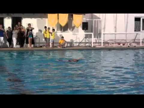 ΣΥΓΧΡΟΝΙΣΜΕΝΗ ΚΟΛΥΜΒΗΣΗ ΚΟΗ27/07/2011 ΓΙΟΡΤΗ ΚΟΗ ΣΟΛΟ ΑΛΕΞΑΝΔΡΑΣ ...