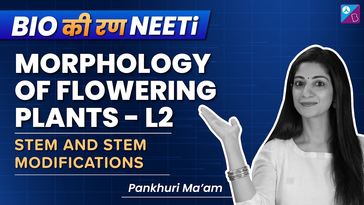 Morphology of Flowering Plants Class 11 Biology | Stem and Stem ...