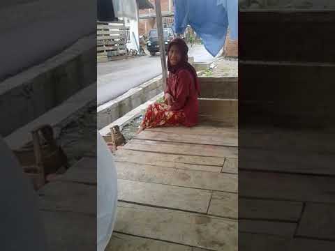 Introgasi janda aceh