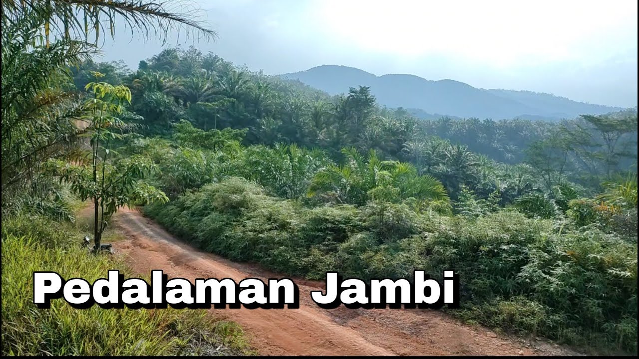pedalaman Jambi Sumatera - YouTube