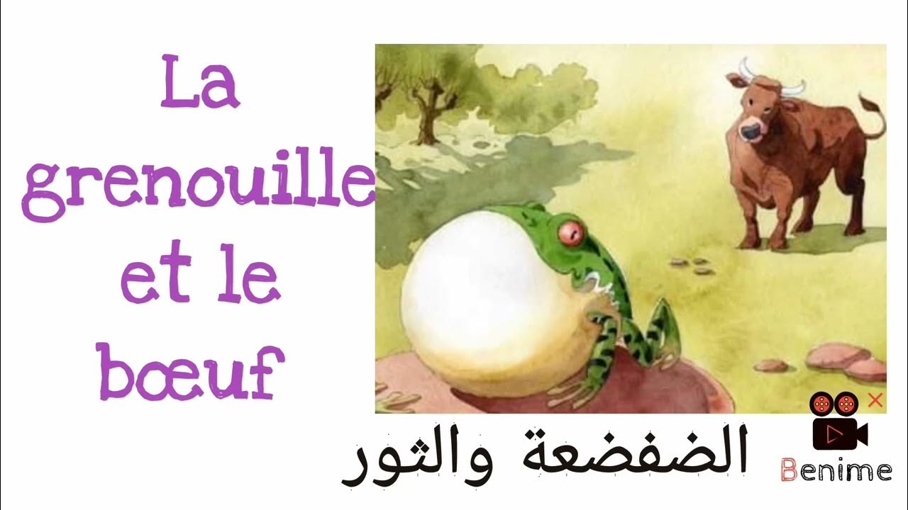 تلخيص قصة فرنسية.الضفدعة والثور. la grenouille et le bœuf. - YouTube