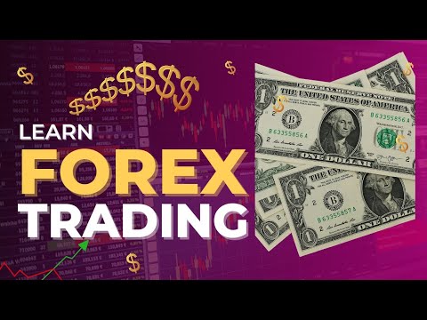 Beginner Forex Trading Course - YouTube