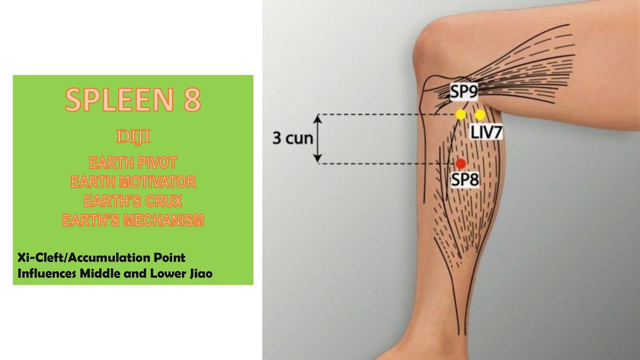 SPLEEN 8 DIJI (EARTH PIVOT, EARTH MOTIVATOR, EARTH'S CRUX, EARTH'S ...