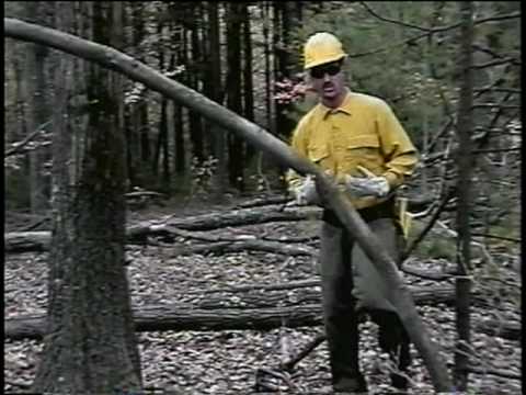 Wildland Fire Chain Saws - Part 1 - Spring Poles - YouTube
