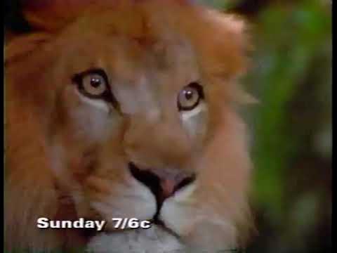 George of the Jungle ABC Promo Short version - YouTube