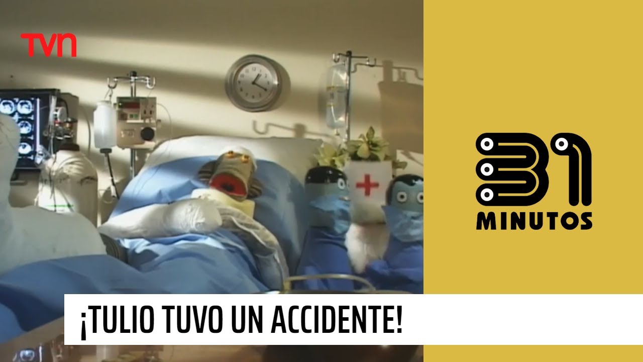 ¡Tulio chocó contra un oso polar! | 31 Minutos - YouTube