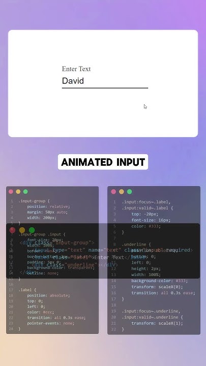 Animated Input Using Css And Html Html Css Animation Cssanimation Shorts Youtube 