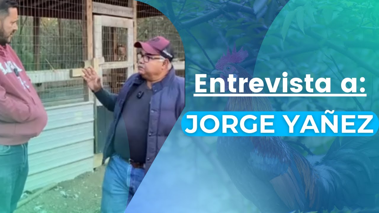 58.- Entrevista a Jorge Yáñez 20 de Octubre 23 - YouTube