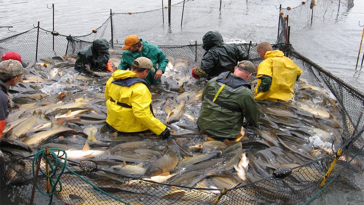 Most Satisfying Net Fishing In The Ice Lake Video - Amazing Traditional ...