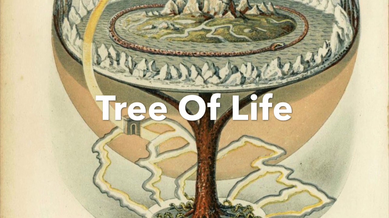 Norse Tree Of Life / Hidden Lands At North Pole - YouTube