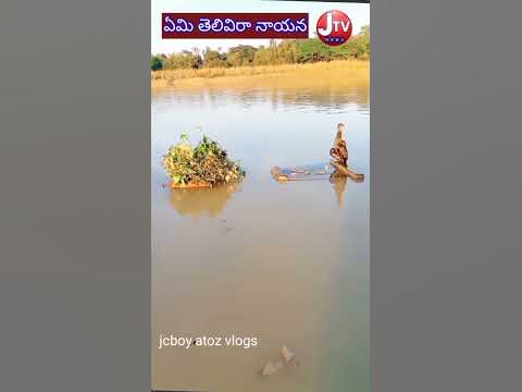 ఎమి తెలివితేటలు రా నాయనా వాటే ఐడియా// Jcboy atoz vlogs - YouTube