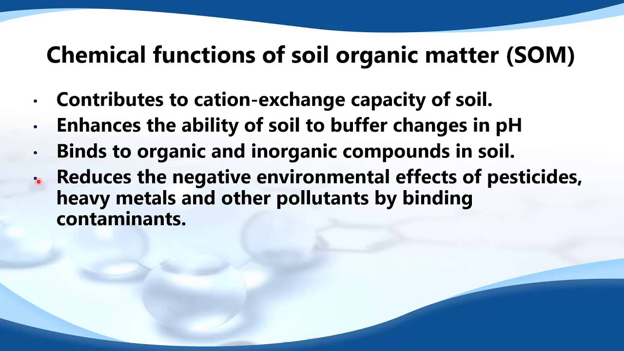 E.12.4 Describe the chemical functions of soil organic matter (SOM ...