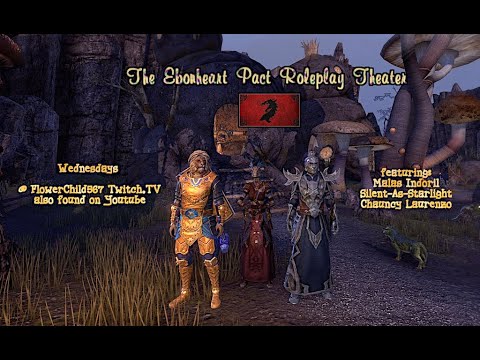 EBONHEART PACK #11 ~ STONEFALLS Public Dungeon Crows Wood - YouTube