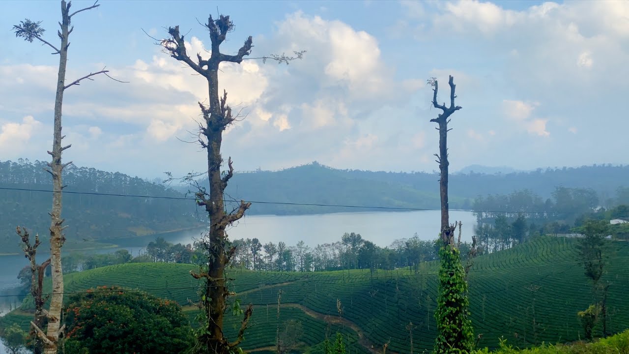 Escape to Valparai's Enchanting Nature in 4K: A Visual Treat for Nature ...