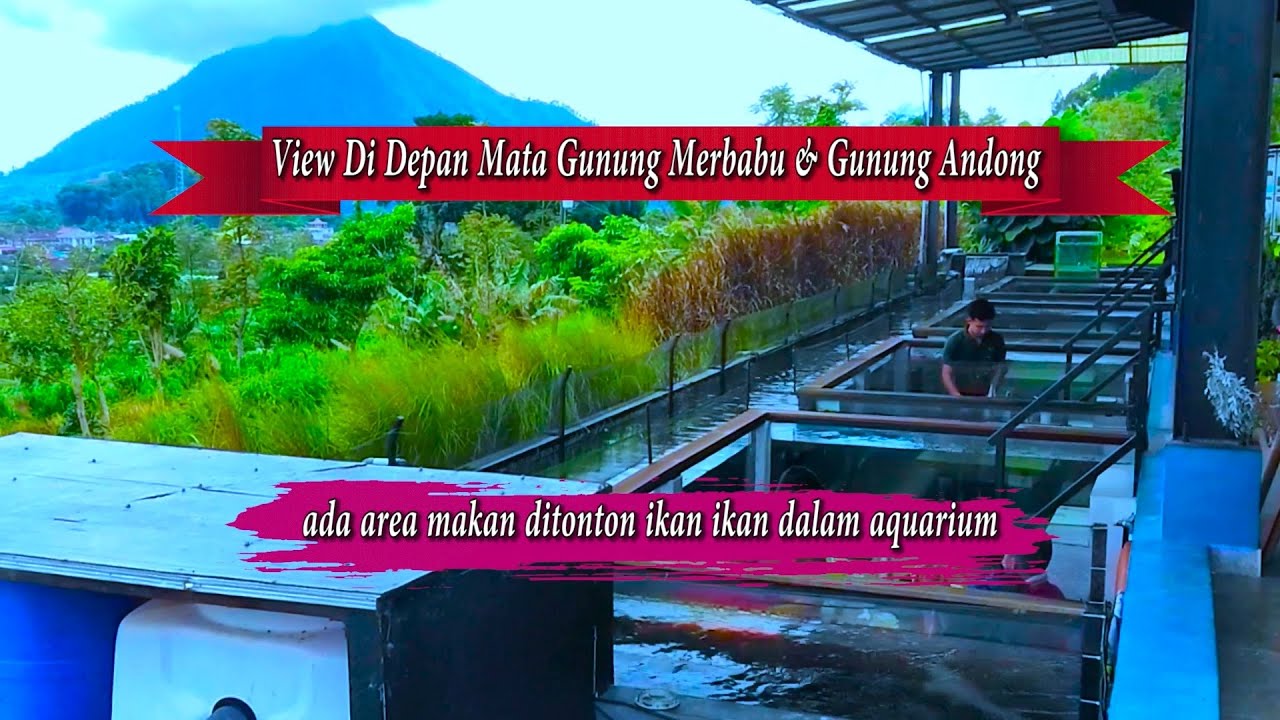 Flow Skyland Café & Eatery Di Bawah Kaki Gunung Telomoyo View Alamnya ...