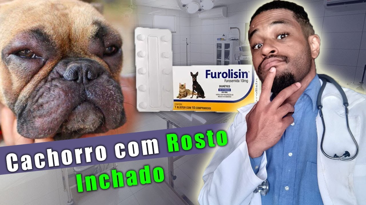Cachorro Com Juntas Inchadas - RETOEDU
