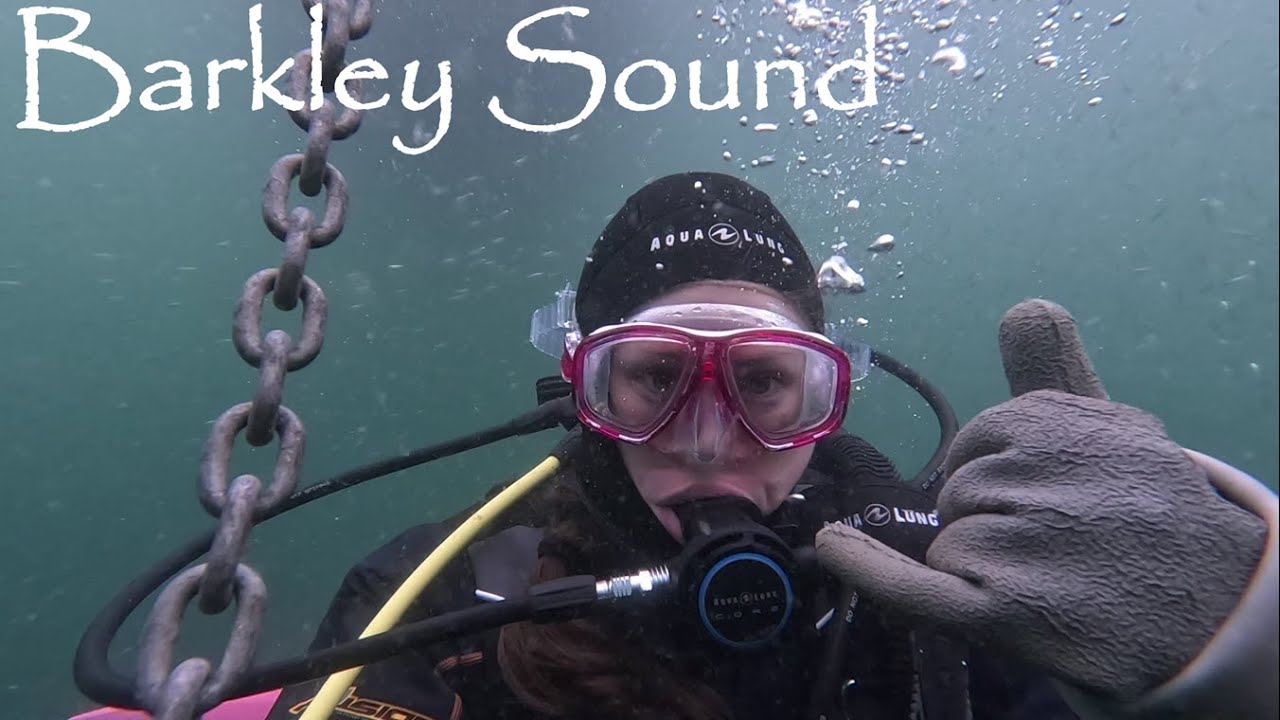 Rendezvous Dive Trip Part 2 (Barkley Sound 2023) - YouTube